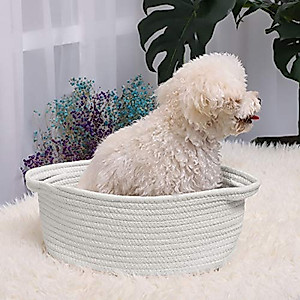 ABenkle Small Woven Basket, 12"x 8" x 5" Cute Small Basket, Rope Room Shelf Storage Basket, Cat Dog Toys Basket Chest Box, Empty Decorative Gift Basket with Handles - White