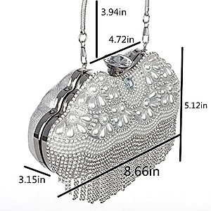 Sither Rhinestone Tassel Handbag Purses for Women Evening Handbag Purses Crystal Pearls Clutch Purses Sparkly Clutches Shoulder Chain Bags for Party Prom Christmas Gift (silver)