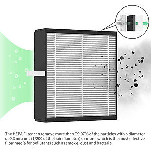 Afloia Efficient Filter for Q10 Air Purifier and Dehumidifier 2-in-1 (Air Purifier Q10 Filter Replacement)