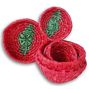 Strawberry Nesting Baskets - Red Soft Woven Berry Baskets with Lids - Set of 2, Red, Medium