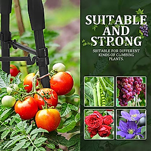 APSOONSELL Garden Obelisk Trellis for Potted Plants, Plant Trellis Support for Climbing Plants, Metal Trellis for Climbing Plants Indoor and Outdoor, Tomato Trellis Tower