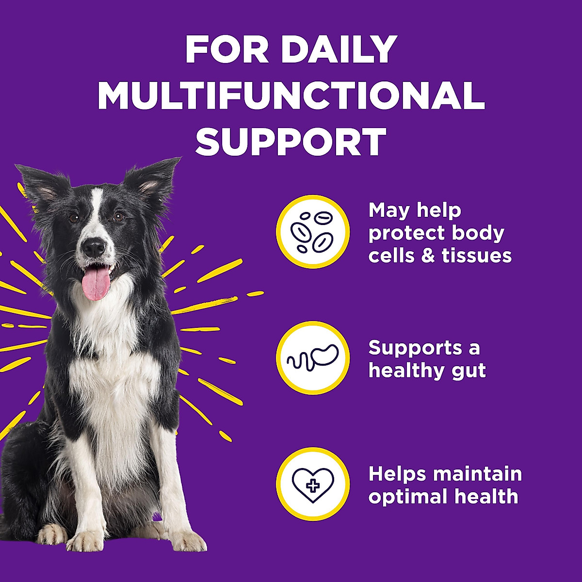 Wildpaw WonderBites for Vitamins & Minerals - Essential Probiotic Supplement for Dog Care - Soft Chew Dog Multivitamin - Supports Digestive Health, Immune Health & Joint Health - 90 Soft Chews