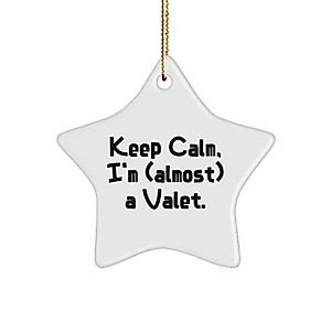 Keep Calm, I'm (Almost) a Valet. Star Ornament, Valet , Gag for Valet