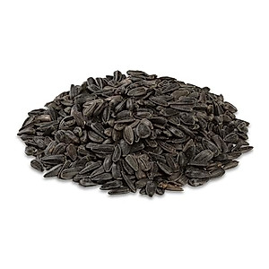 Audubon Park 10427 11286 Black Oil Sunflower Seed Wild Bird Food, 20 lb