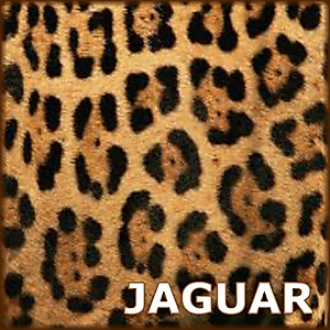 Jessica Sanders Authentic 1800 Series 3pc Duvet Cover Set - King Size, Jaguar, Golden Brown