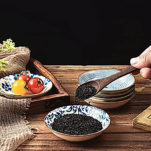 WEUNUM Soy Sauce Bowls/Dishes Set of 6, 4 Inch Dipping Bowls Sushi Plates and Appetizer Dessert Small Bowls for Charcuterie Board,3 oz Porcelain Pinch Bowls for Kitchen Prep(Blue mixed)