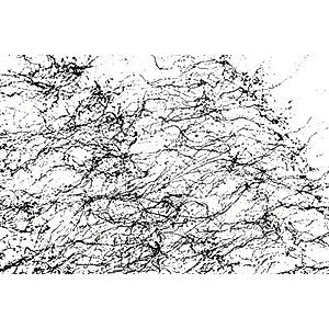 Montana Cans Montana BLACK 150ml Spider Effect Color, Spray Paint, 5.07 Fl Oz (Pack of 1)