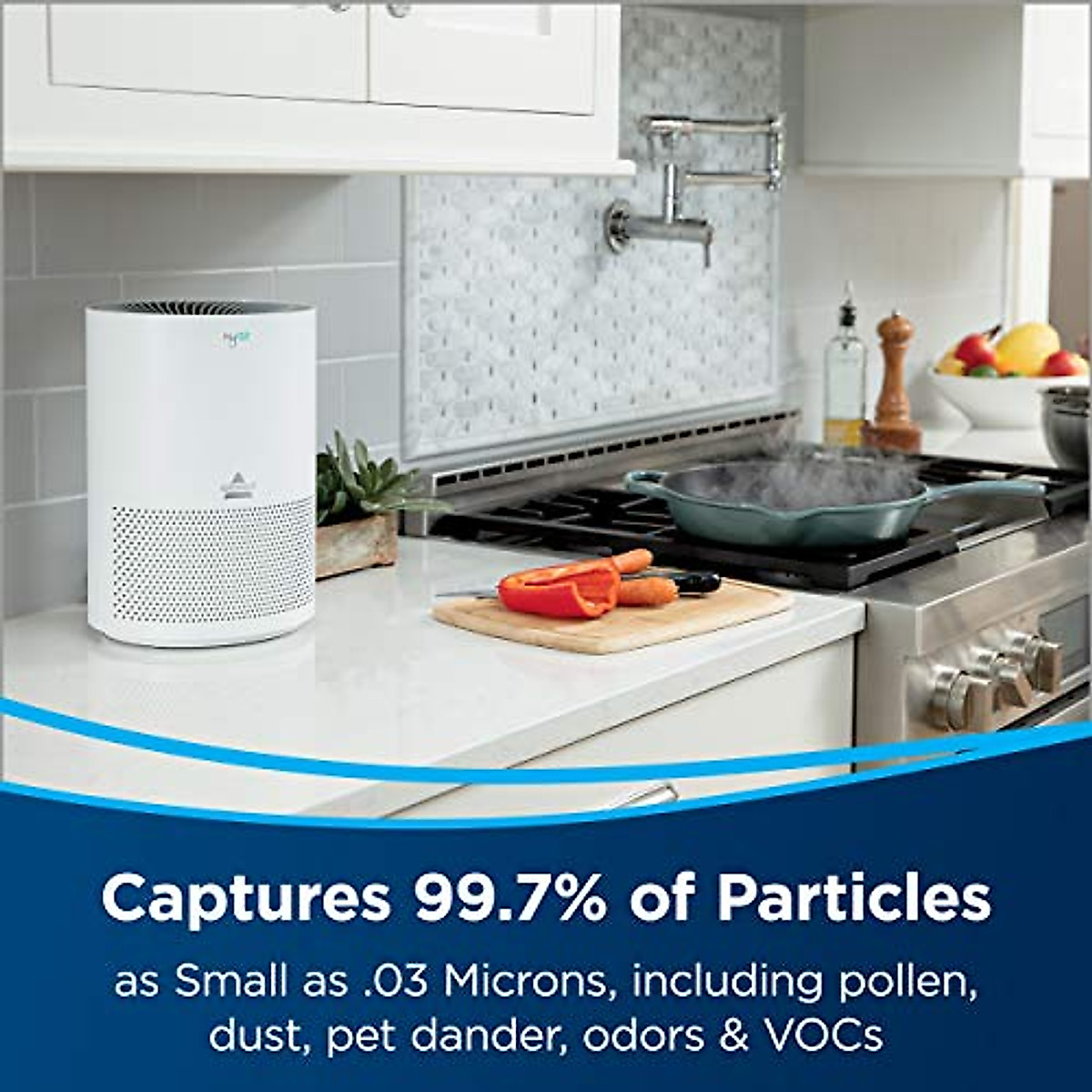 Bissell (2801 MYair Personal Air Purifier Replacement Filter, 1 Count (Pack of 1)