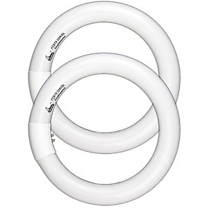 CHKADAWA Circular Bulb FC8T9/DL, 8 Inch T9 22W Circline Fluorescent Light Bulbs, Replacement Round Fluorescent Lamp Tube, Bright Daylight 6400K 1250 Lumens, G10q 4 Pin Base, 2 Pack