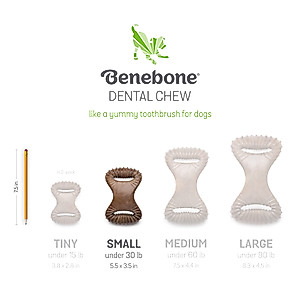 Benebone 2 Count (Pack of 1) Wishbone/Dental Durable Dog Chew Toys, Real Bacon, Made in USA, Small