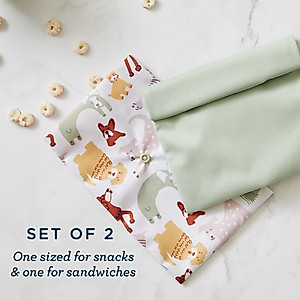 Esembly Snack + Sammy Pouches - Reusable Snack & Sandwich Bags| Silicone Storage Bag for Food | Microwave & Dishwasher Safe - Set of 2 - Fantastic Fungi + Forest