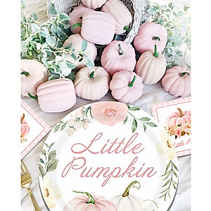 Pumpkin Party Supplies Tableware Set - Fall Theme Party Decorations Including Plates, Napkins and Cups for Pumpkin Birthday and Baby Shower Party, Serves 24 Guests (pink)