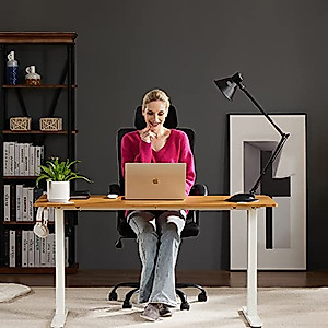 SMUG Height Adjustable Electric Standing Desk, 48 x 24 Inches Sit Stand up Desk Home Office Computer Desk, Ergonomic Desk with Memory Controller Standing Table Natural