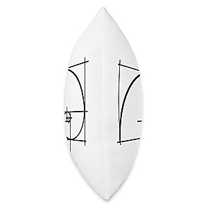 Golden Ratio Fibonacci Math Lover Designs & Gifts Ratio Golden Spiral Geometry Math Throw Pillow, 16x16, Multicolor