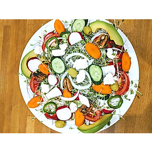 Variety Pack Sprouting Seeds Broccoli, Alfalfa, Radish, Mung beans & Salad Mix for Sprouts and Microgreens. Non-GMO. Pack of 10 premeasured seeds for quart size jars or trays. Includes 2 packs of each