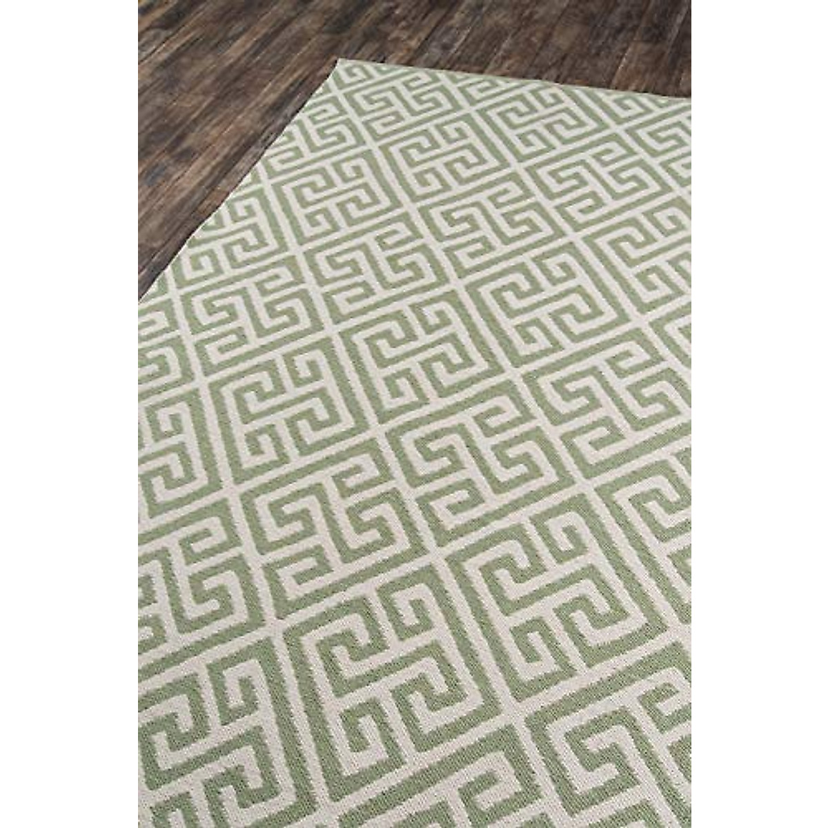 Madcap Cottage Palm Beach Brazilian Avenue Area, Indoor Outdoor Rug, 3'6" X 5'6", Green