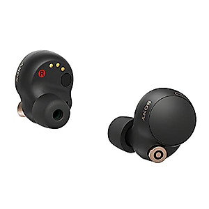 Sony WF-1000XM4 True Wireless Noise Canceling Headphones (Black) with Knox Gear silicone carrying case with carabiner for Sony WF-1000XM4 Earbuds bundle (2 items)