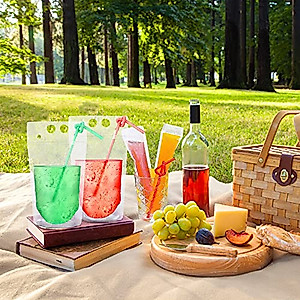 Drink Pouches for Adults and Popsicle Bags with Straws, 50 Pcs Smoothie Ice Pop Bags, 30 Pcs Hand-Held Reclosable Drink Bags, 30 Pcs Straws & Funnel