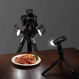 Godox MF12 MF12-K2 Macro Flash Off-Camera TTL Flash Speedlite 12W, 2.4G Wireless Control,TTL/M Mode,Built-in 3.7V/6.29W Lithium Battery, Compatible with Nikon, Sony, Canon, Fuji, Olympus and Panasonic