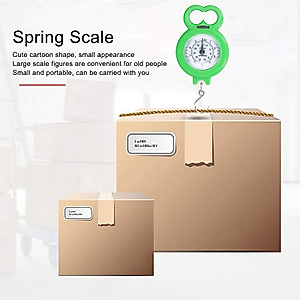 Fishing Scale, Hanging Hook Scales, 10kg Portable Practical Mini Fishing for Measuring Shopping Weight(Green)