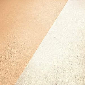 Laura Mercier Glow Powder Brush