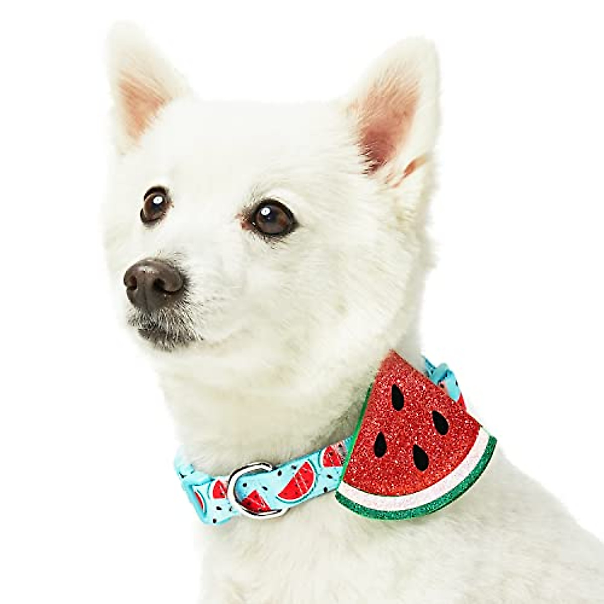 Blueberry Pet 2022 New Summer Sparkle Dog Collar, Adjustable Medium Size, Neck 14.5"-20", Zesty Fruit Watermelon Blue, Pet Collar with Detachable Accessory
