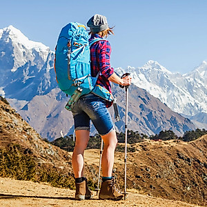 Sprookber 3" Aluminum Carabiner D Ring, Caribeener Clips, Spring Snap Hook for Keychain Clip, Set of 10 (Black)