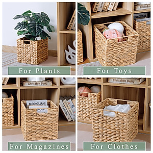 10.5x10.5 Water Hyacinth Storage Baskets, Wicker Baskets for Cube Storage, Collapsible Cube Storage Bins Wicker, Square Baskets for Cube Storage for Ikea Kallax, Basket Set of 3 (Water Hyacinth)