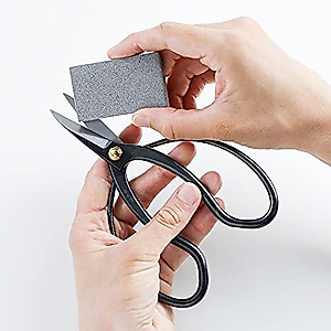 Wazakura Japanese Sap Rust Eraser for Blades, Garden Scissors, Bonsai Tools, Floral Hasami Shears, Made in Japan - Sap Eraser