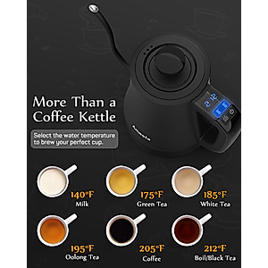 Amaste Gooseneck Electric Kettle, Electric Tea Kettle With Temperature Control, 34oz Pour Over Electric Kettle for Coffee & Tea, 304 Stainless Steel Inner, Auto Shut-Off & Keep Warm, Matte Black