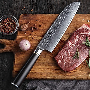 GOYNANA Luxury SANTOKU Knife 7 Inch Ultra Sharp And Non Stick Blade of Damascus Chef Knife, With Japanese Knives Ebony Wood Handle | 67 Layers High Carbon Stainless Steel | Fancy Gift Box