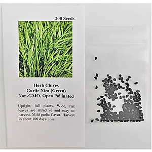 David's Garden Seeds Herb Chives Garlic Nira FBA-2343 (Green) 200 Non-GMO, Heirloom Seeds