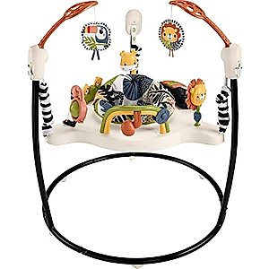 Fisher-Price Baby Bouncer Palm Paradise Jumperoo Activity Center With Music Lights Sounds And Developmental Toys