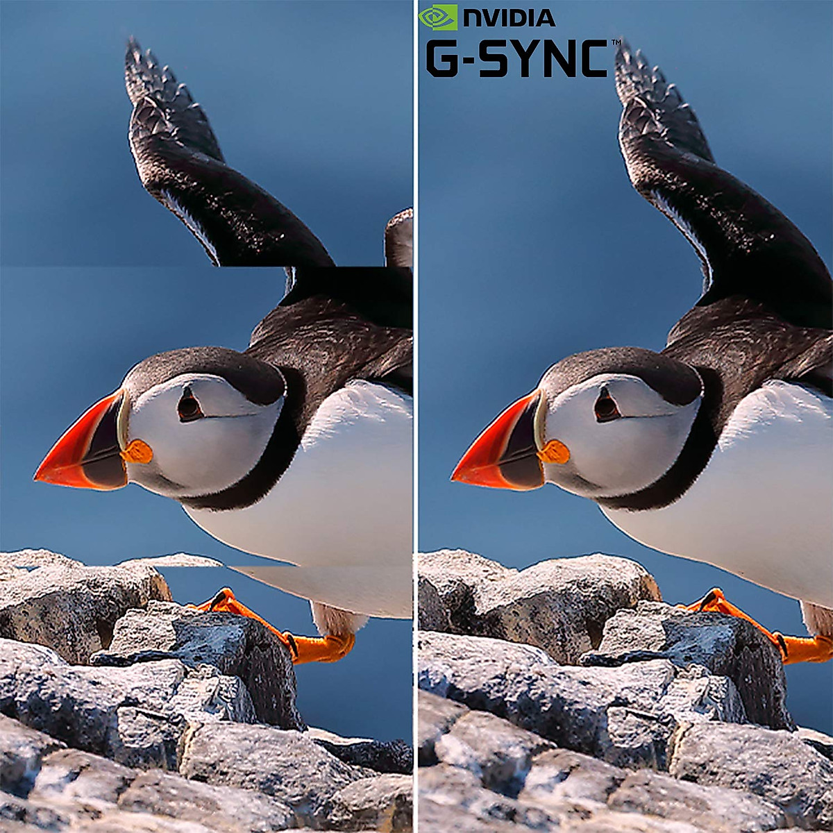 Acer ConceptD CP3 CP3271K Pbmiippruzx 27" UHD 4K (3840 x 2160) IPS G-SYNC Compatible Monitor, Pantone Validated, VESA Certified DisplayHDR400, DCI-P3, Delta E<1 (2 x DP, 2 x HDMI & 4 x USB 3.0 Ports)