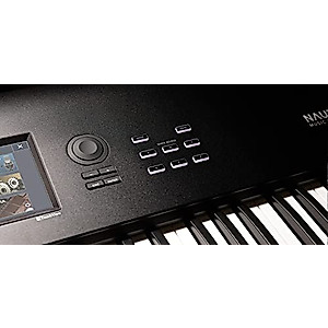 Korg Nautilus 61-Key Performance Synth Workstation Bundle with Sustain Pedal, MIDI Cables, and Austin Bazaar Polishing Cloth