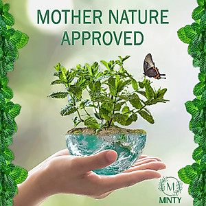 Minty Spider Repellent, Natural 5% Peppermint Oil Spray, Kills & Deters All Types of Spiders and Insects, Indoor and Outdoor Use, 128 fl oz Gallon