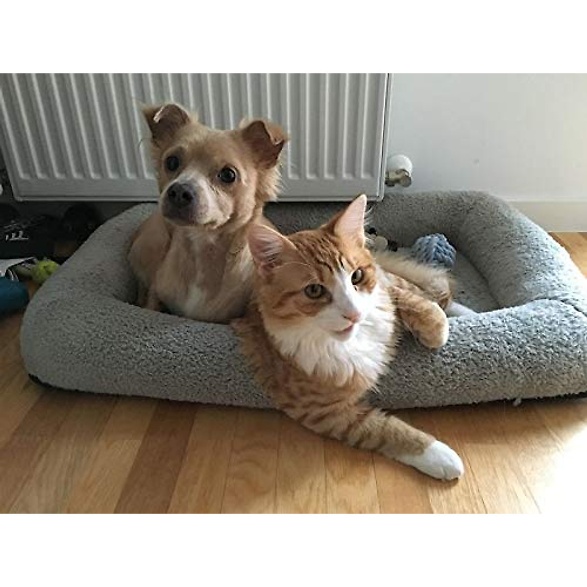 Enjoying Plush Cat Bed Mat, 16" x 22", Self Warming Cat Bed with Pillow Around, Dog Kitty Relying/Curling Sleep Cushion, Warm Bed for Small to Medium Dogs Cats Rabbits, Antiskid Bottom, Medium