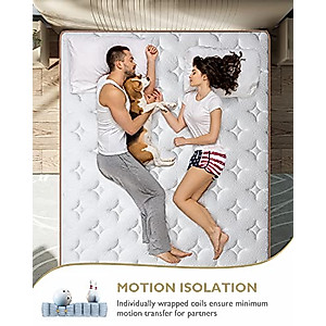 BedStory Queen Mattress - Made in USA - 14 Inch Hybrid Mattress Medium Feel, Individually Wrapped Coils for Pressure Relief & Motion Isolation, 80”x60”x14”