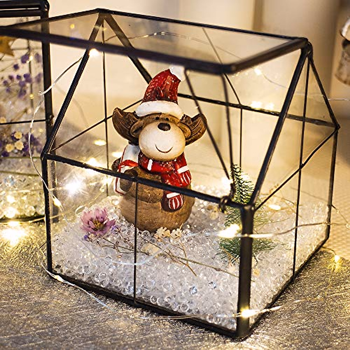 Ferrisland Glass Plant Terrarium Container Wardian Case Indoor Small Succulent Terrarium Planter w/Door for Tabletop Decor DIY Gift - 5.0"x4.3"x4.3"