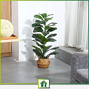 CROSOFMI Artificial Fiddle Leaf Fig Tree 35 Inch Fake Ficus Lyrata Plant with 28 Leaves Faux Plants in Pot for Indoor Outdoor House Home Office Garden Modern Decoration Perfect Housewarming Gift，2Pack
