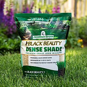 Jonathan Green (10610) Black Beauty Dense Shade Grass Seed - Cool Season Lawn Seed (25 lb)