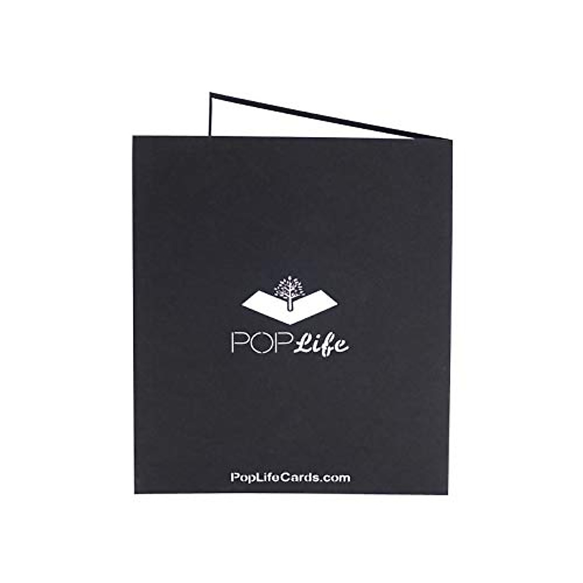 PopLife Grand Piano 3D Pop Up Card for All Occasions - Happy Birthday, Graduation, Father's Day, Mother's Day, Congratulations, Retirement, Thank You - Musicians, Teachers, Gift for Music Lovers