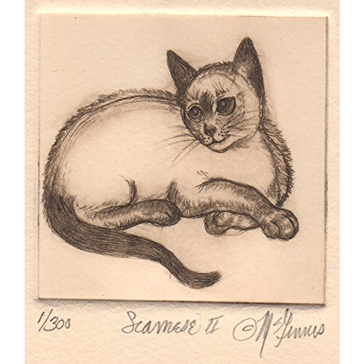 Siamese II