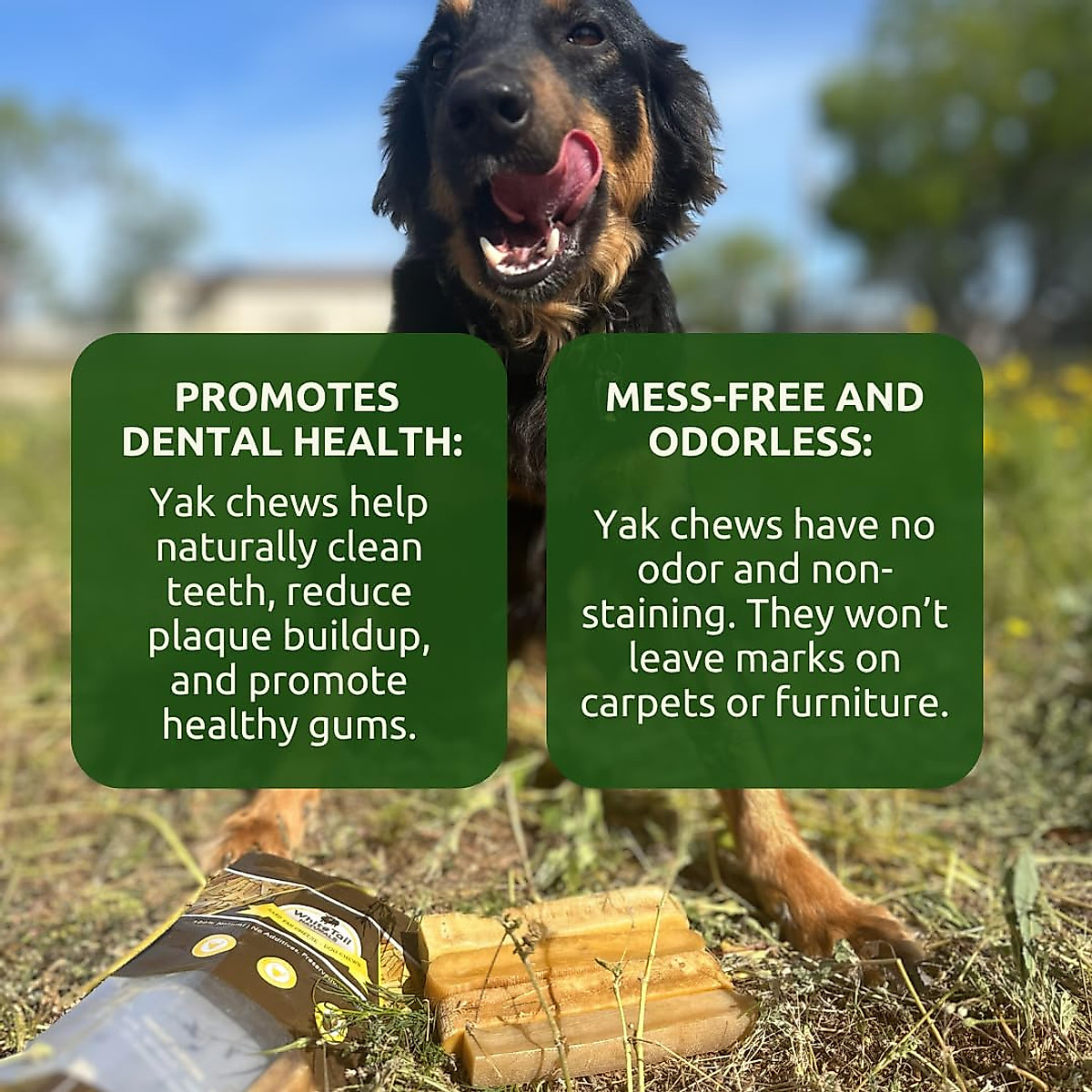 WhiteTail Naturals - Yak Cheese Dog Chews - Long Lasting Tough Dog Bones for Aggressive Chewers & Teething Puppies - All Natural Himalayan Dental Milk Chew Bone (6, Medium)