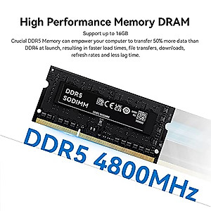 Beelink Dual 2.5GbE Network- Triple 4K Displays- 16GB DDR5 Mini PC, Intel 12th Core i3 N305 EQ12 Pro Support AV1 deconding, 500GB PCIex1 SSD, WIFI6, BT5.2, Office, Openwrt Mini Computers Grey