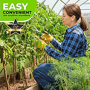 Hydroponic 60mm/40mm 2 pack Bonsai micro tip pruning shears (Stainless Steel) by Yieldcropper