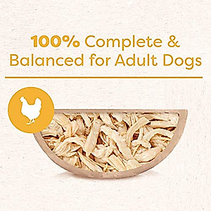 CESAR WHOLESOME BOWLS Adult Soft Wet Dog Food Chicken Recipe, 3 Ounce (Pack of 10)