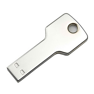 Lot 10 2GB Key Shape USB 2.0 Flash Drive 2G Metal Memory Pen Stick Thumb Drive Wholesale Bulk Pack (2GB, Silver (Stainless Steel))