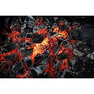 Ivation Electric Charcoal Starter with Built-in air Blower, Fast 60-Second Charcoal Lighter, Quickly & Easily Ignite BBQ Smoker Grill Without Lighter Fluid or Matches