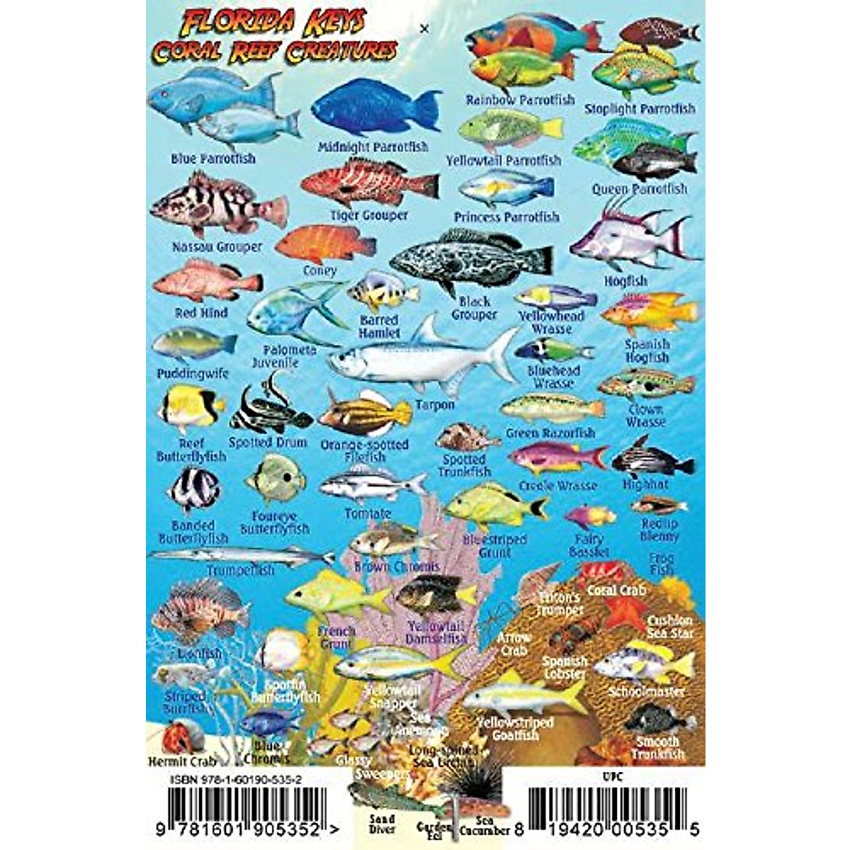 Florida Keys Reef Creatures Guide Franko Maps Laminated Fish Card 4" x 6"